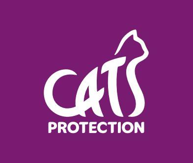 Cats Protection | Reach Volunteering