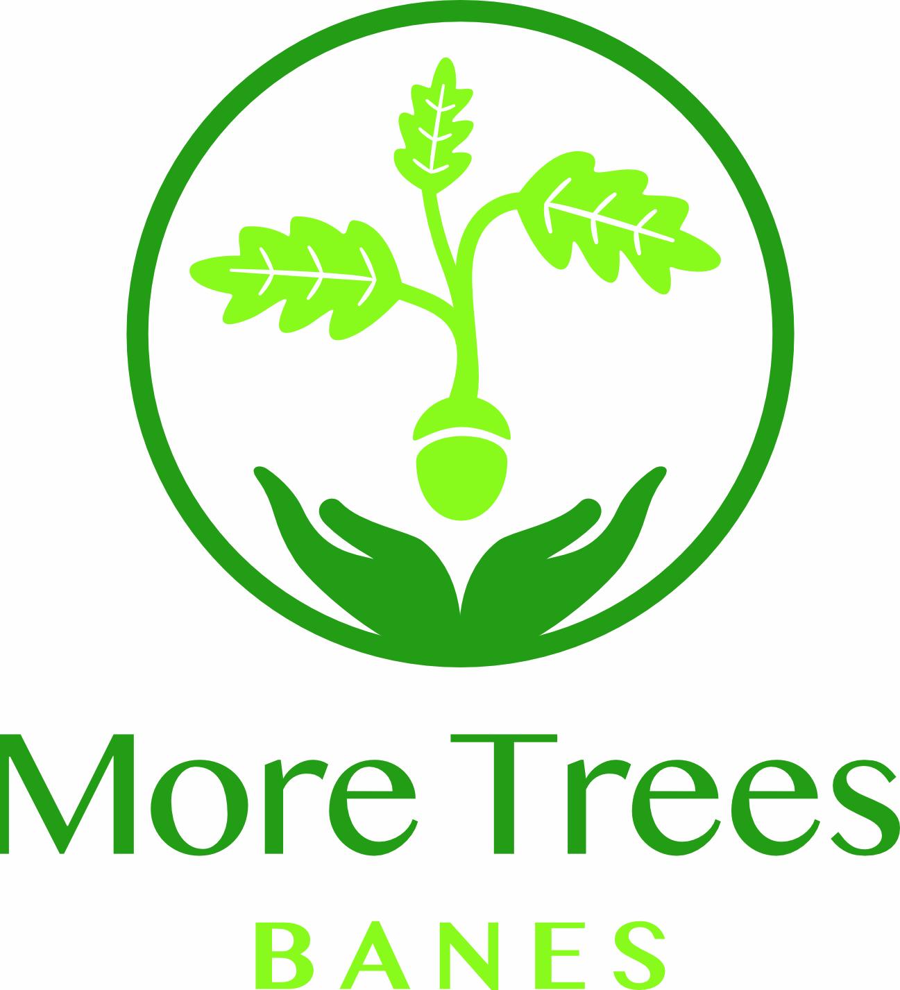 More Trees (for Bath & North East Somerset) | Reach Volunteering